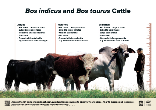 Good Meat | Resources