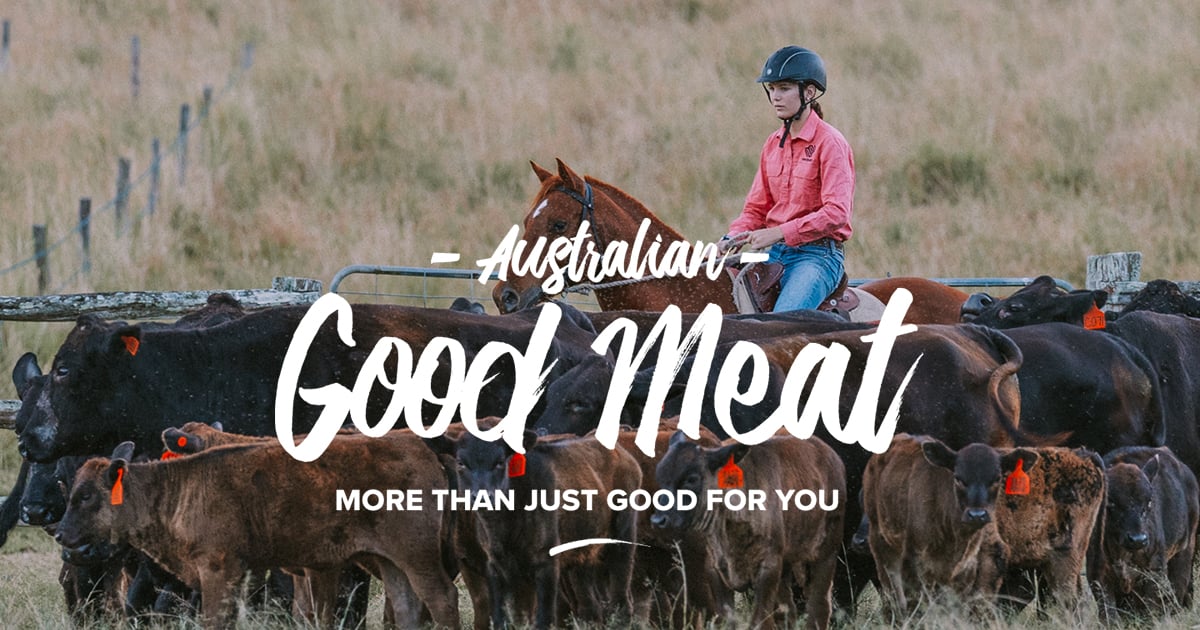 Red Meat and Polled Livestock | Animal Welfare | AGM