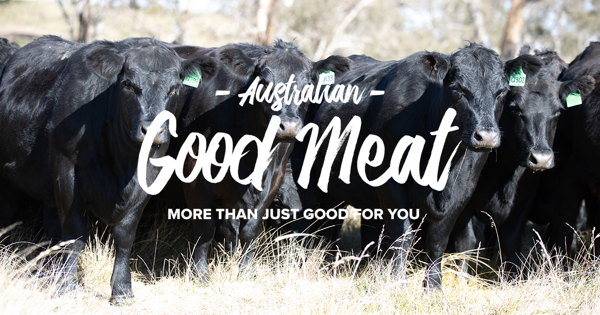 Antibiotics in Red Meat Australia | Red Meat & Health | AGM