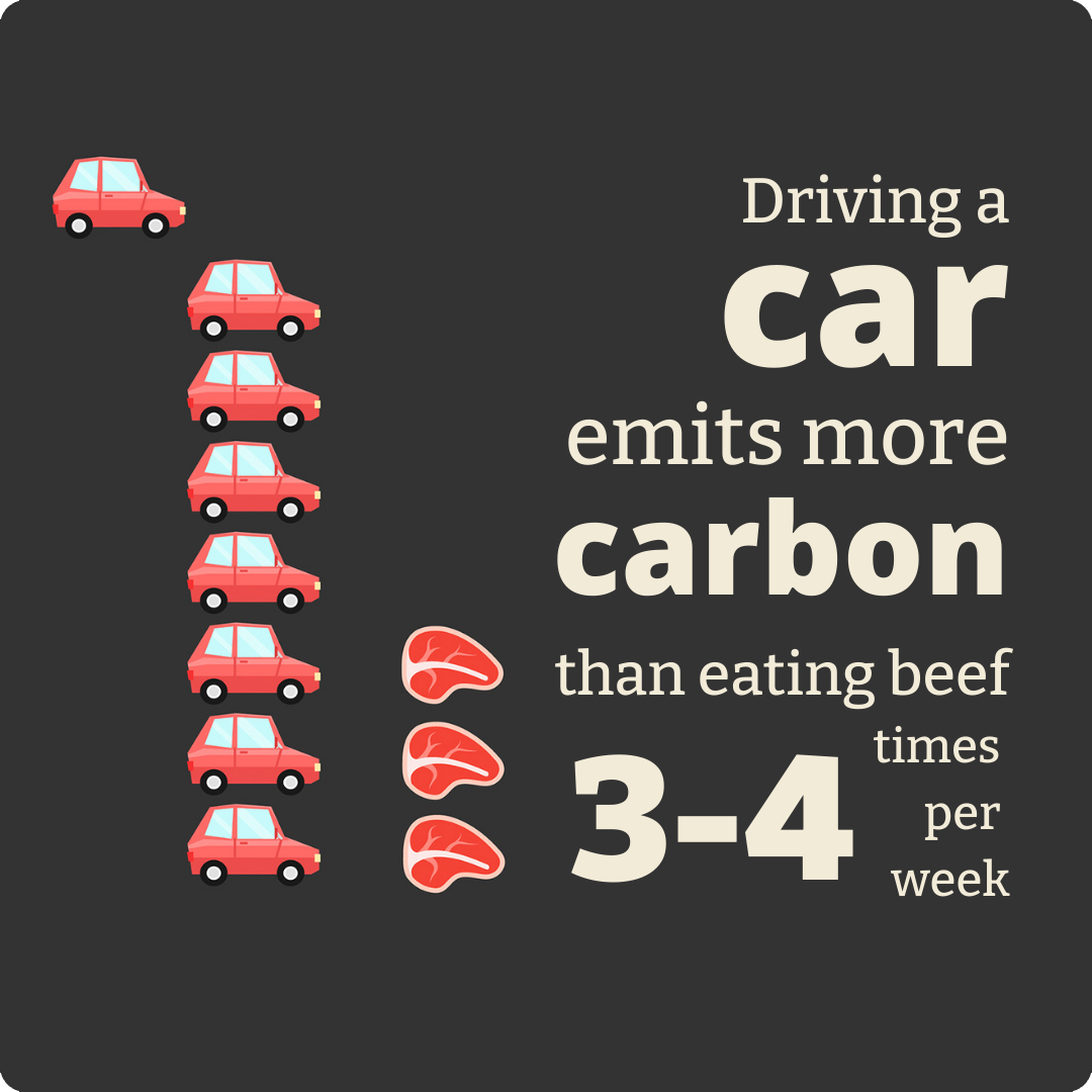 Top 5 Benefits of Eating Meat | Eating Meat Facts | AGM