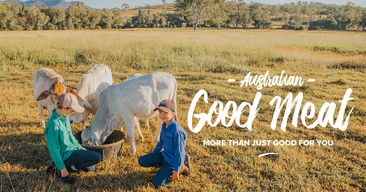 Good Meat | Resources