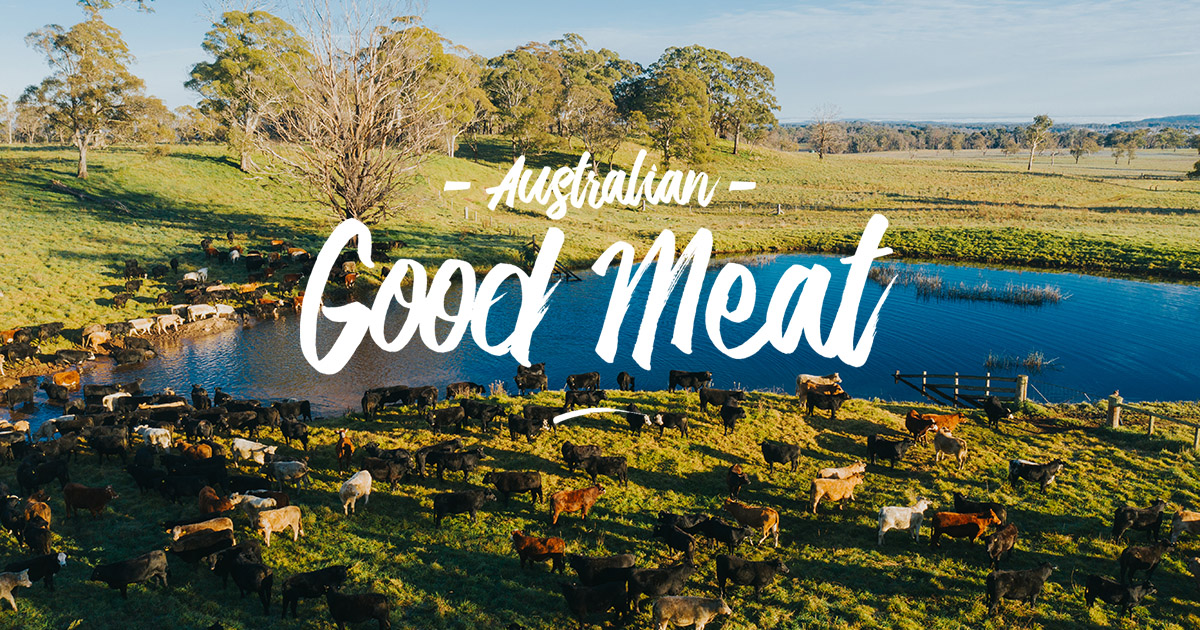 Reducing the Environmental Impact of Meat | AGM