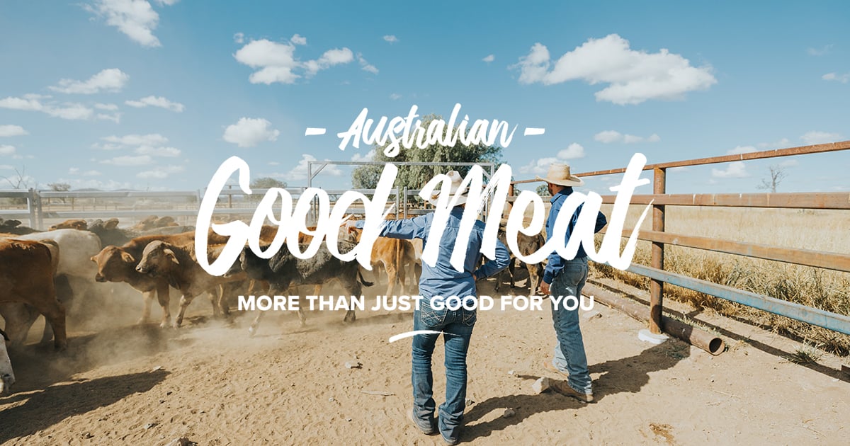 Red Meat and Live Animal Exports | Meat Industry Facts | AGM