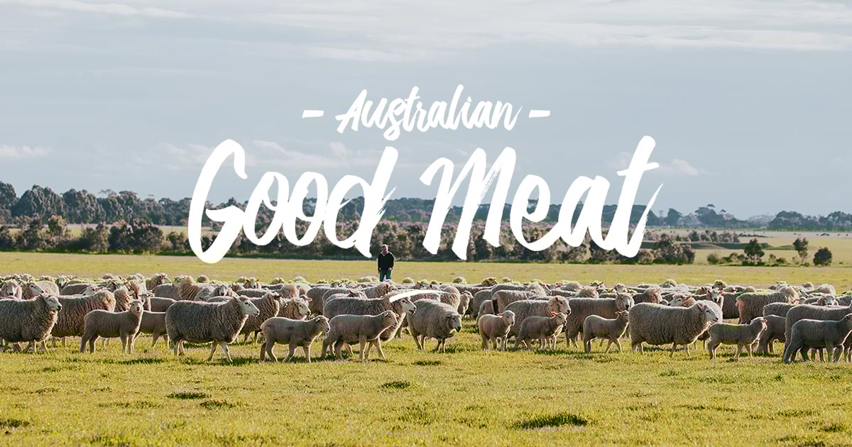 Mulesing & Mulesing Alternatives | Animal Welfare | AGM